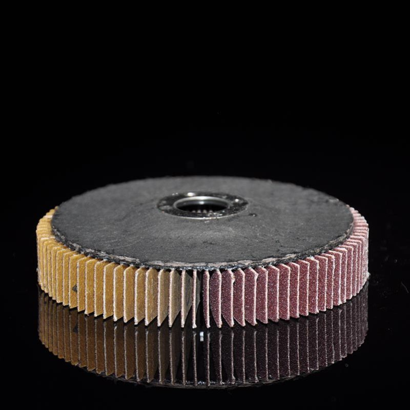 Vertical | Professional | Flap Disc | DOMORE
